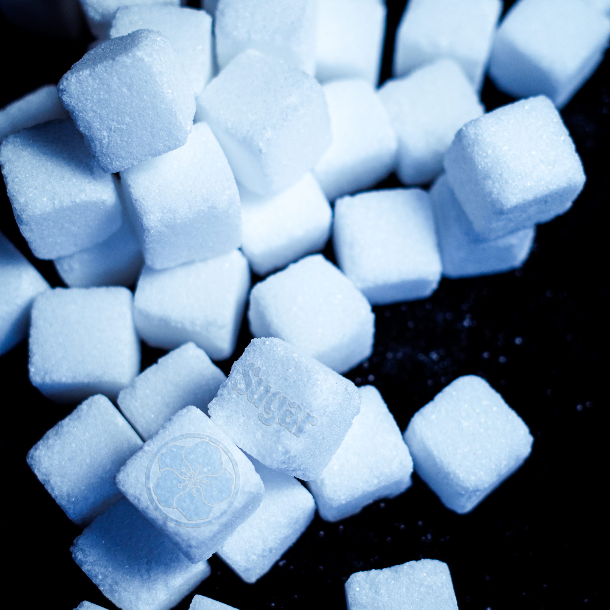 デジタル先行配信"Sugar"リリース！ | NEMOPHILA Official Website